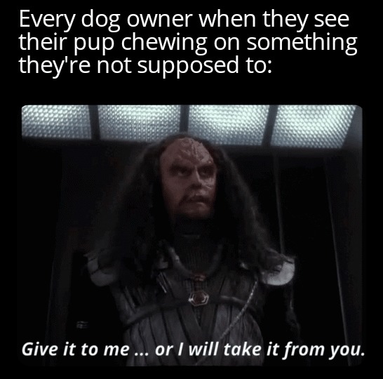 Chasing after them! - Meme by Ferengi_Meme_Broker :) Memedroid