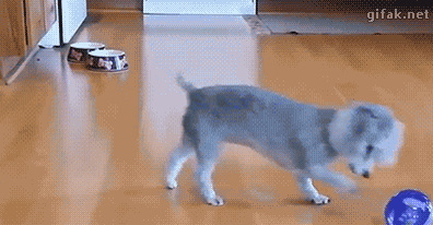 Socorro :o - Meme by GaabrielP :) Memedroid