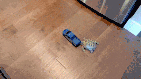 Live car chase - Meme by Moklman :) Memedroid