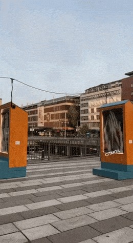 Planta dentro de casa, no vaso regado 1 vez por semana com sol na ...