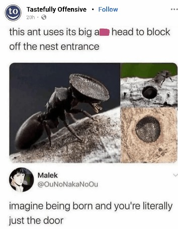 *sad Heimdall noises* - Meme by sovos :) Memedroid