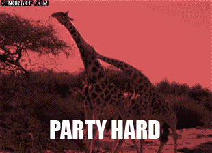 PARTY HARD!! - Meme subido por Pipe094 :) Memedroid
