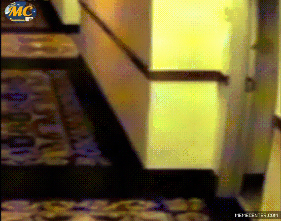 damn it brian - Meme by nosherkhan :) Memedroid