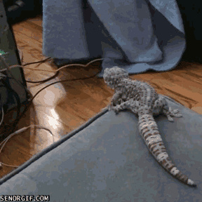 Jump fail target(computer) missed - Meme subido por mustafatopi ...