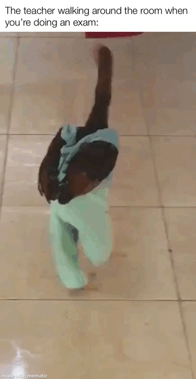 No cheating - Meme by Cliffy_99 :) Memedroid