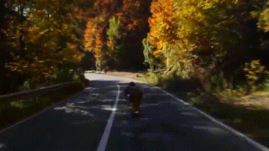 Road Rash To The Extreme! - Meme by LizardWizard :) Memedroid