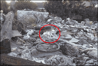 Everyone deserves second chance - Meme by Sovobio :) Memedroid