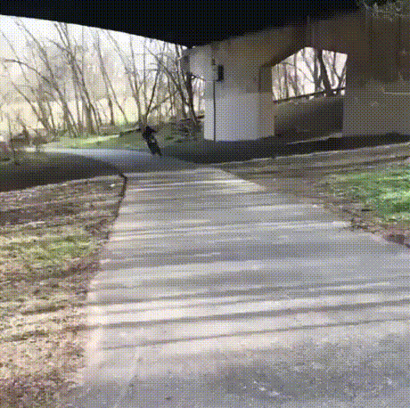 Did he died? - Meme by Hypnotix :) Memedroid