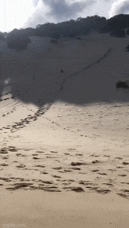 If it demonstrates agility, it's not me. If it demonstrates a total ...