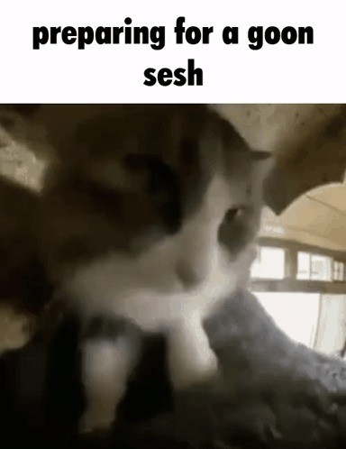 preparación para la goon sesh - Meme subido por TrollwaffenV2 :) Memedroid