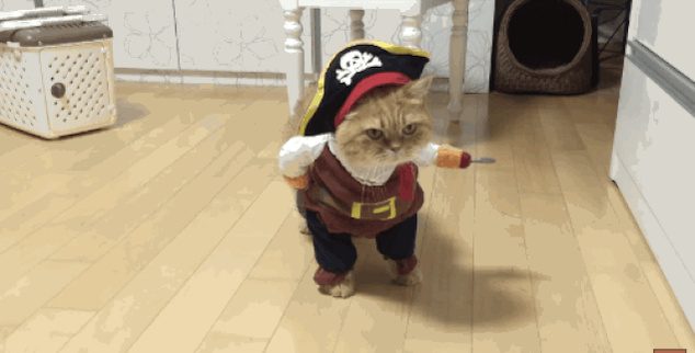 Argg - Meme by CommamderFox :) Memedroid