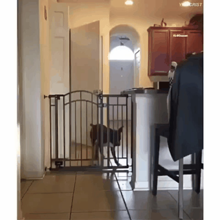 Xtreme parqr - Meme subido por NakMuay :) Memedroid