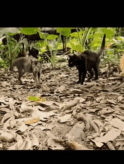 Take that! - Meme by Grumpasaurus :) Memedroid