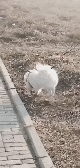 Strike a pose - any pose. - Meme by Grumpasaurus :) Memedroid