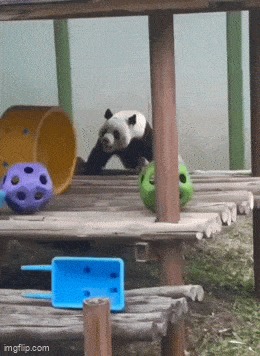 Me throwing one of my famous temper tantrums. - Meme by Grumpasaurus ...