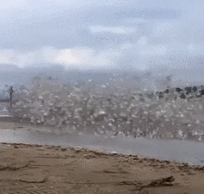 such synchronization - Meme by Jack_The_Raper :) Memedroid