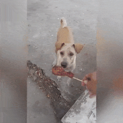 Que bonito - Meme by Chacorta :) Memedroid