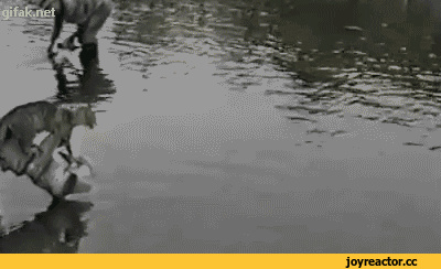 Kheee - Meme subido por Luisinho2270 :) Memedroid