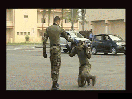 Gotcha Bitch - Meme by Juicedupfagg1t :) Memedroid