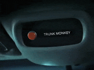 Trunk monkey - Meme by bankalia :) Memedroid