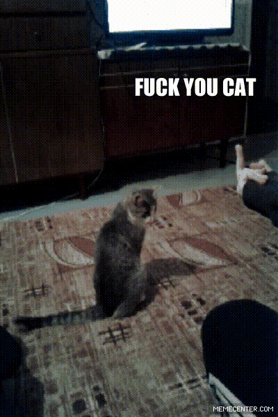 fak yuo - Meme subido por nosherkhan :) Memedroid