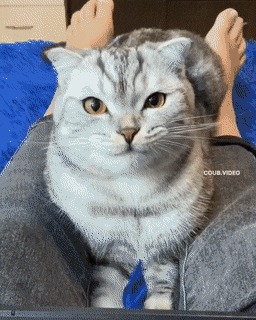 When I'm required to smile and greet people wearing LGBTQ shirts ...